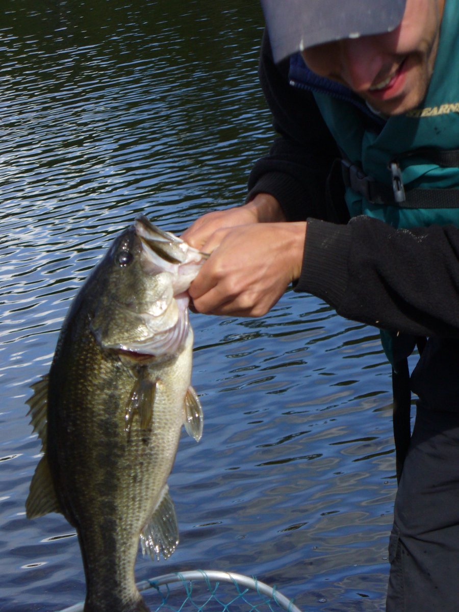 Fishing guide guides you to some of Canada's best bass fishing from our ...